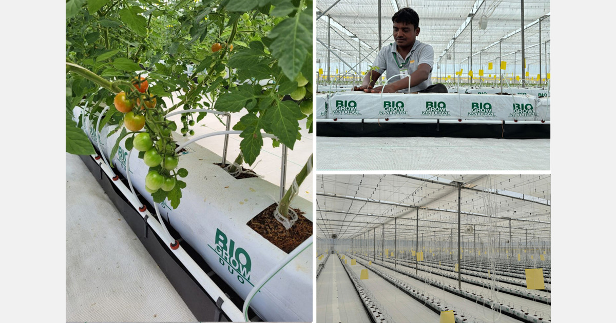 First harvest from Biogrow Substrates Hydroponic Training Center in ...