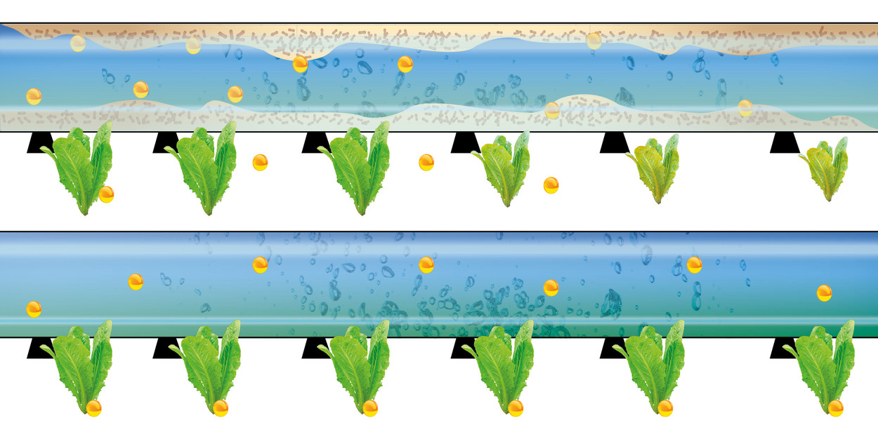 "Maximizing irrigation system efficiency with silver-stabilized ...