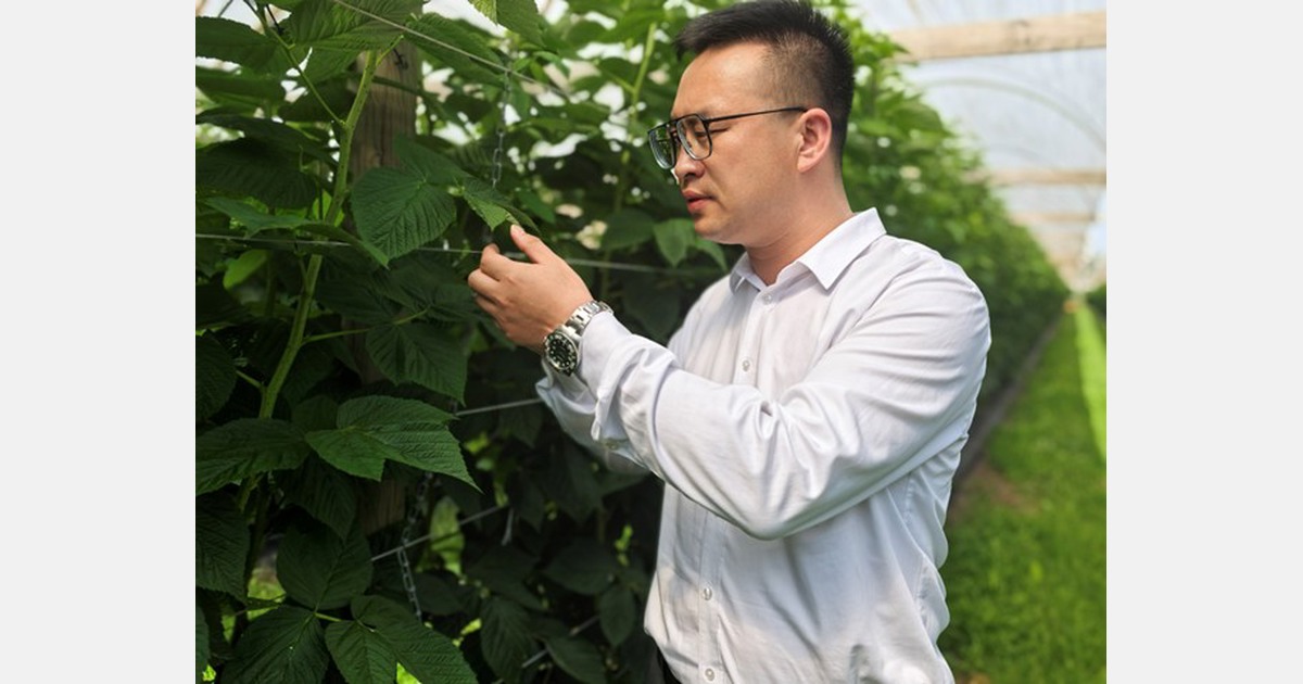 "We are looking to expand the market potential of raspberry in China"