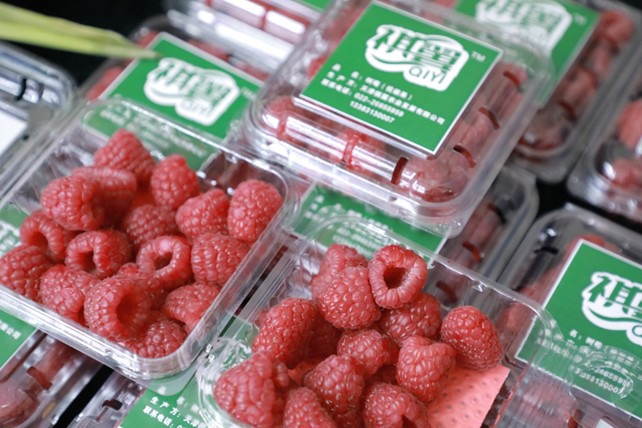 "We are looking to expand the market potential of raspberry in China"