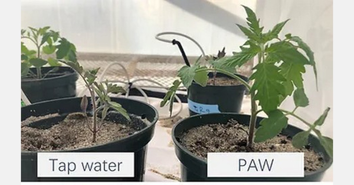 Plasma activated water in CEA