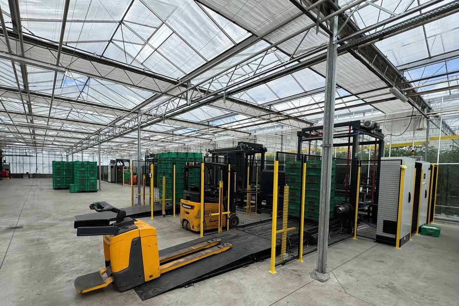 Automated logistic line transports and unloads vegetables