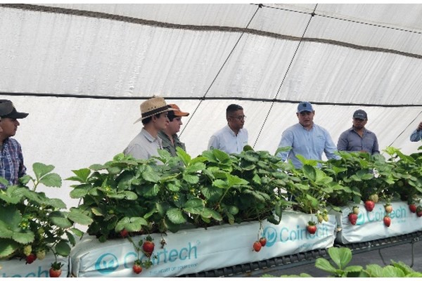 "I've seen the improvements with the Hi-Grow system"