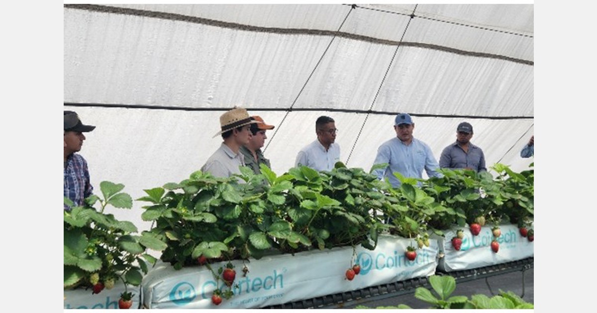 "I've seen the improvements with the Hi-Grow system"