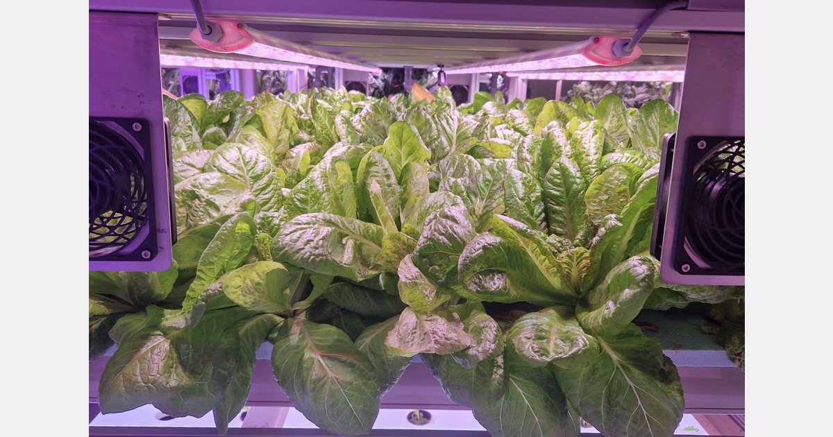 ORION Space Generation Foundation to launch seeds into Orbit for ...