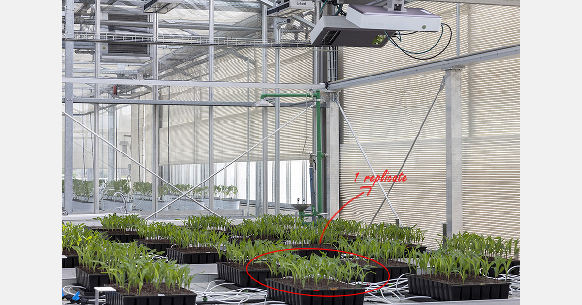 Digital screening to detect the subtle effects and their timing