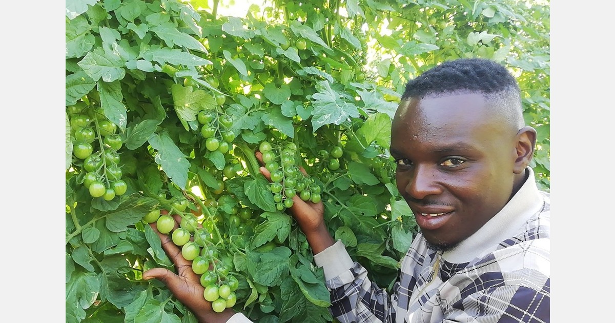 GlobalG.A.P Changemaker award recognises rural farming project in Limpopo
