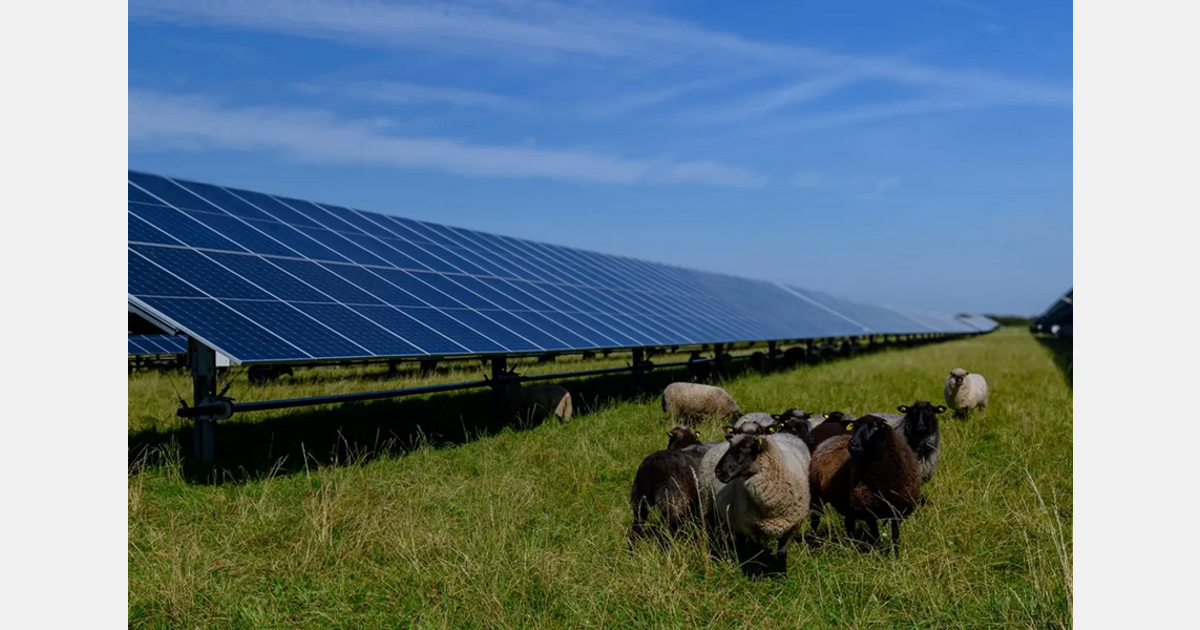 Research into photovoltaic panels over crops