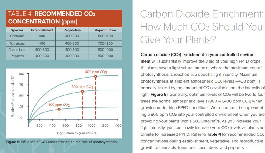 The importance of CO2 levels in plant growth