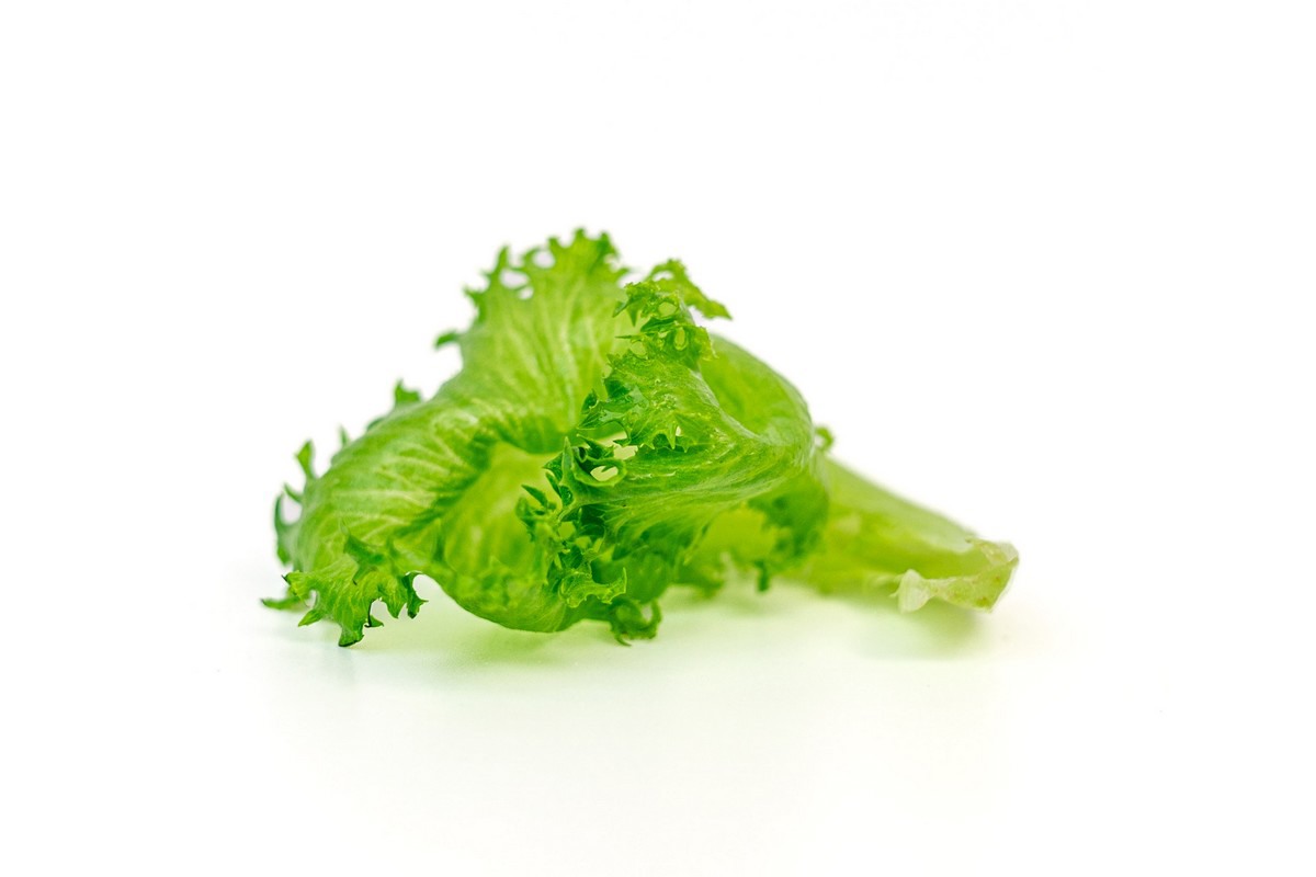 “Eating experience is key to the rise of Teen Leaf lettuce”