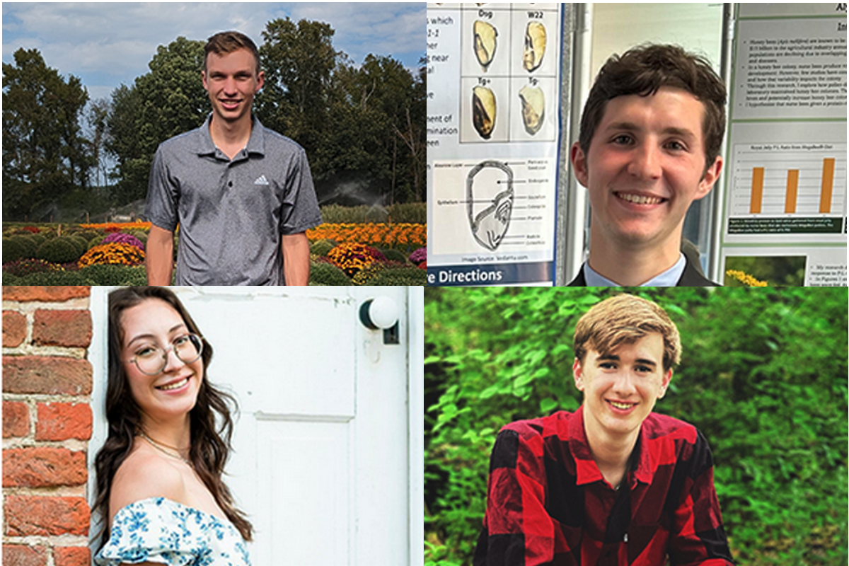 Proven Winners announces 2024 scholarship winners