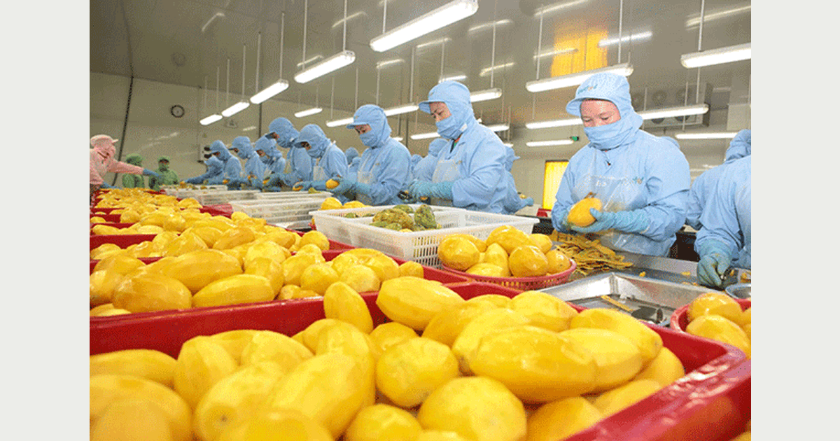 Vietnamese exports rise by over 33% over past 9 months
