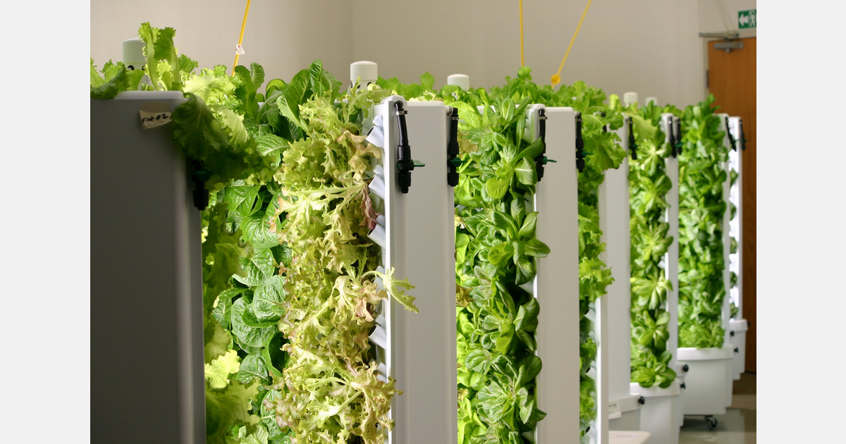 US: UCONN students to celebrate flex farm success