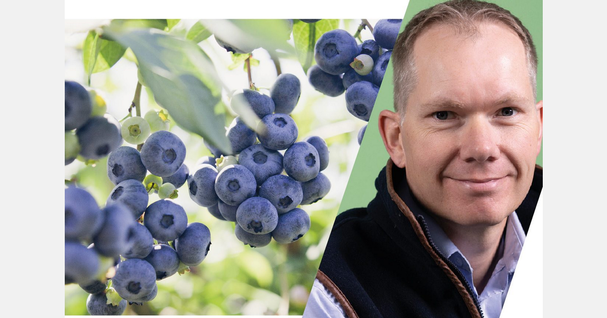 Simplifying post-harvest blueberry treatments