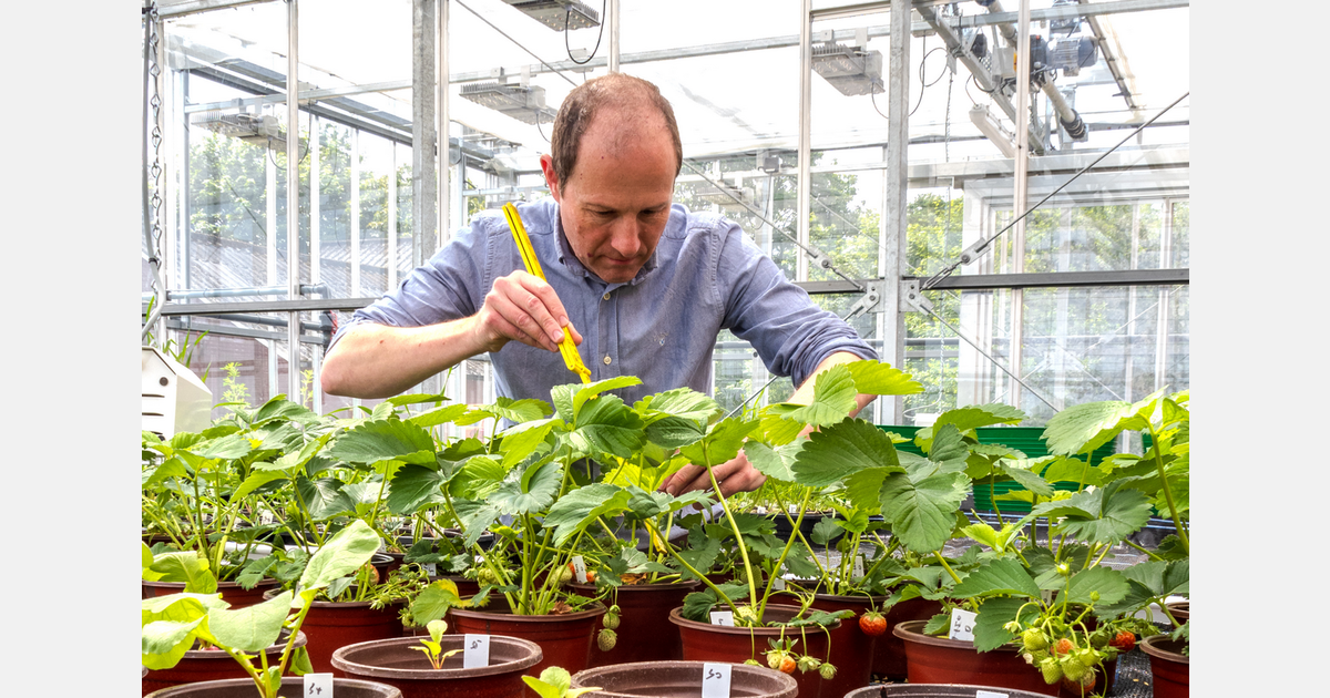 Levity Crop Science expands into The Netherlands