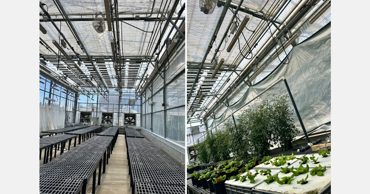 “Our solar technology is particularly beneficial for shade-loving crops”