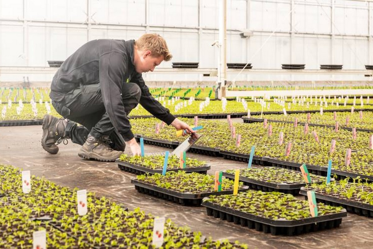 Dealing with intense operational demands during peak season