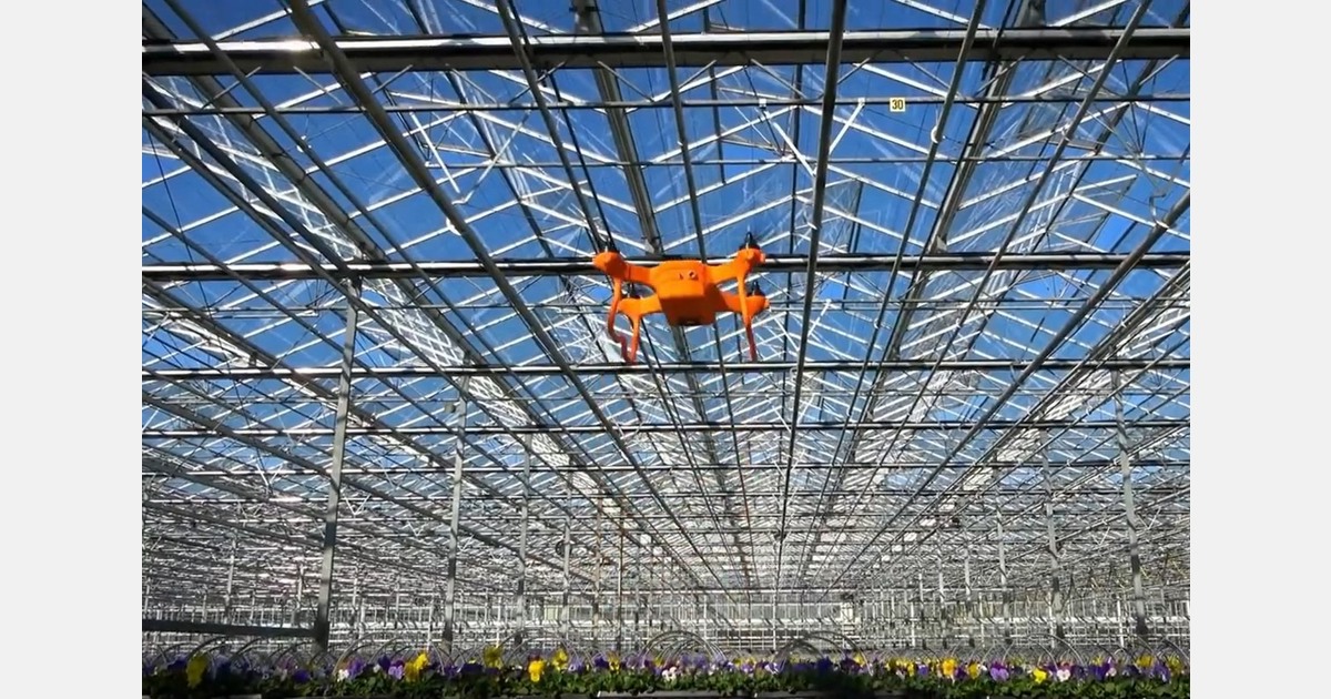 Automated drone aims to aid in crop protection through early detection ...