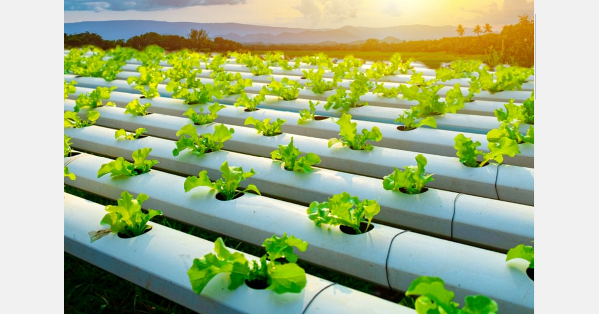 New product lines unveiled to aid growers