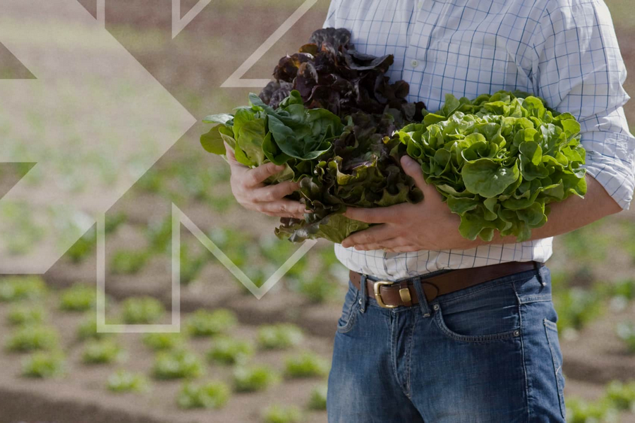 How biofertilizers aid in agriculture