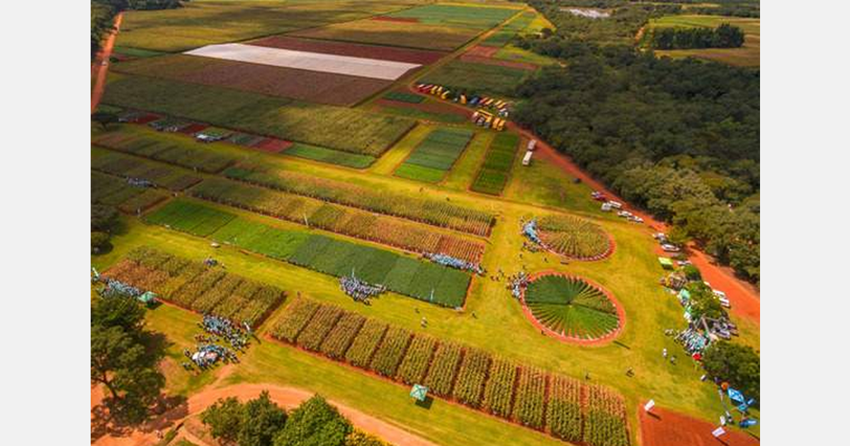 Seed Co Group announces new appointments, and retirements