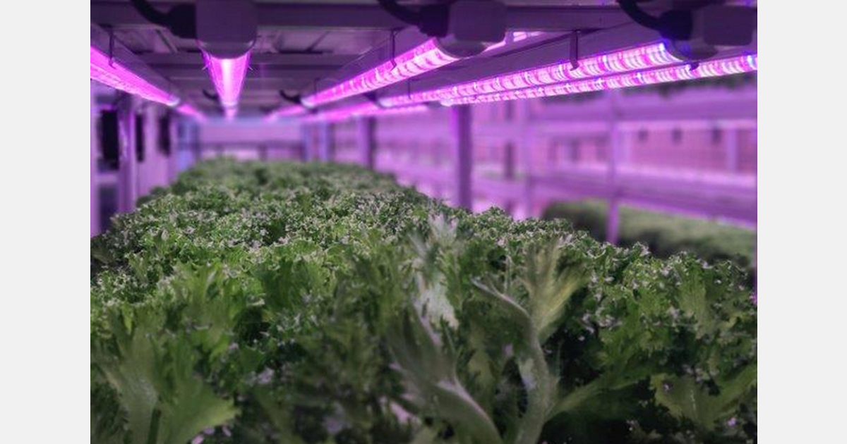 A sustainable alternative to hydrogen peroxide production