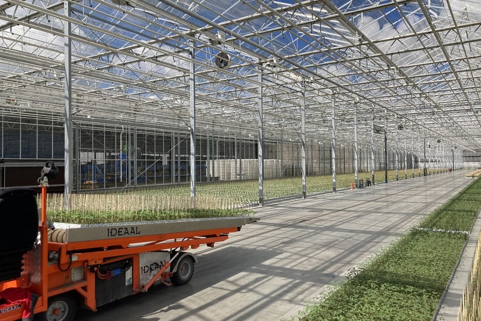 Lighting and technique