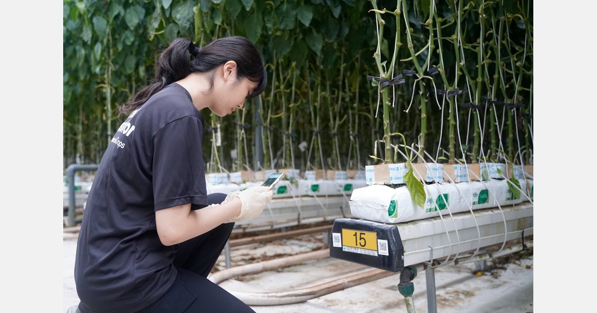 Data-driven workforce management system helps growers improve labor efficiency