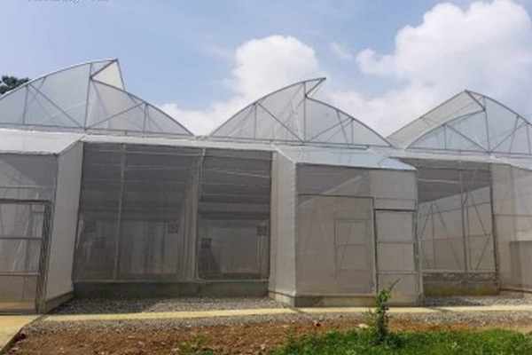 Greenhouse expansion projects