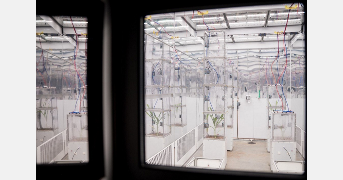 US (IL): Excitement over new isotope labelling facility