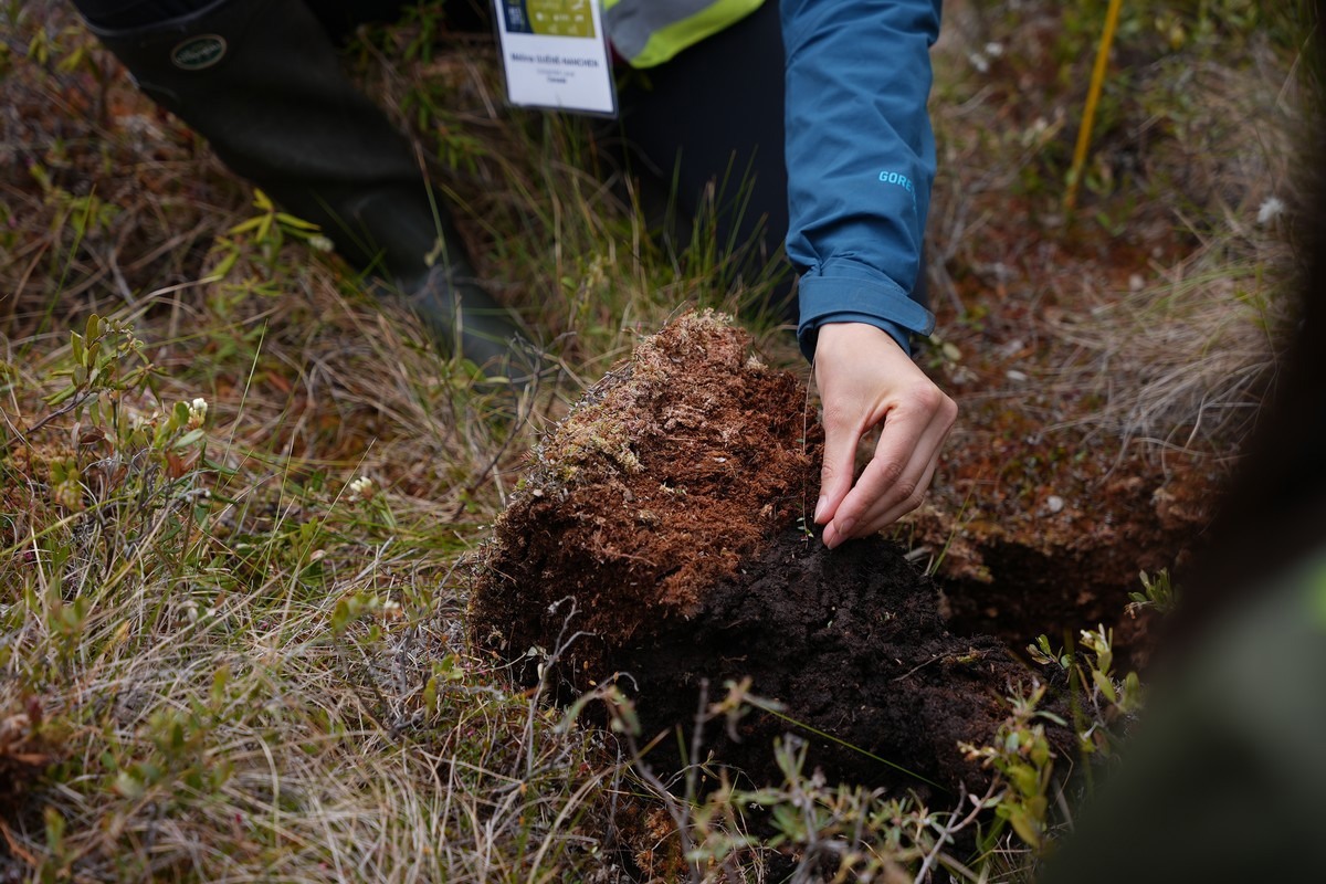 “80% of Canadian peat production now certified. We’re not phasing peat out”