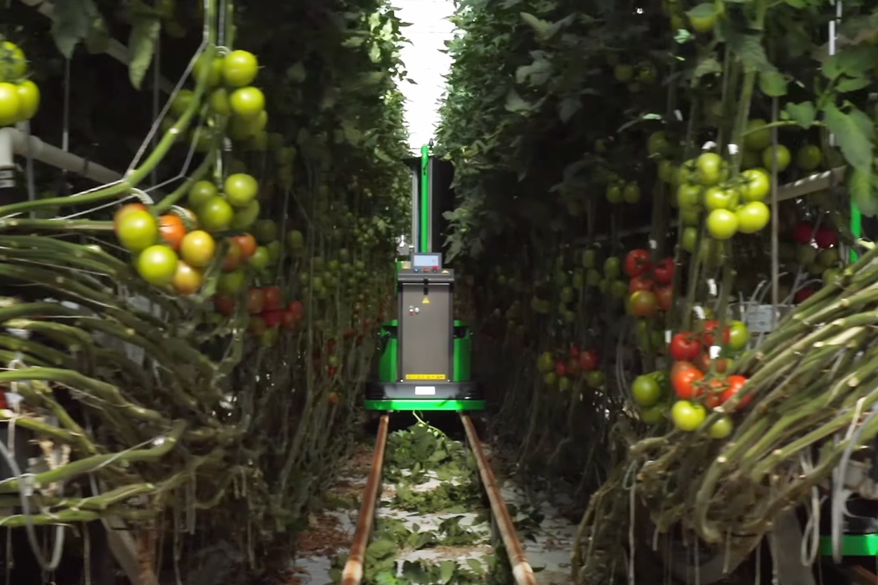 €10 million funding for autonomous tomato deleafer