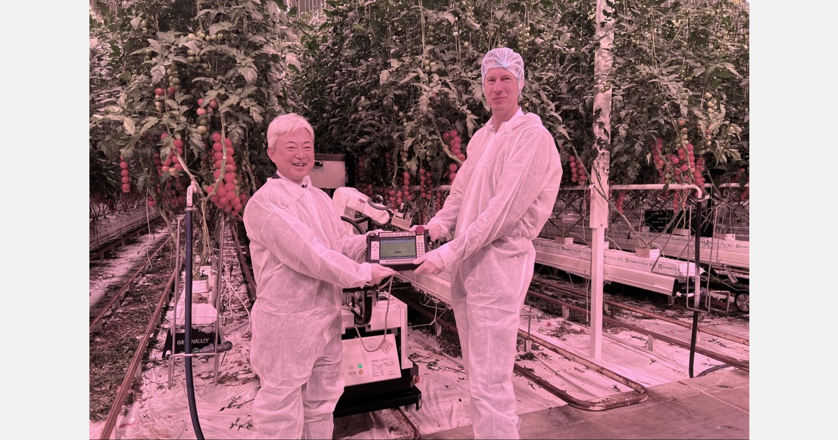 Harvest robot Artemy proves its value at The Valley Growers