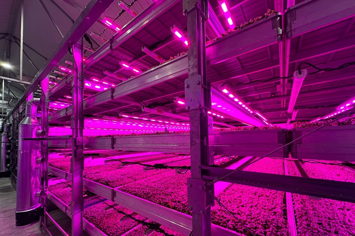 New partnership to bring Moving Gutter Systems to the US