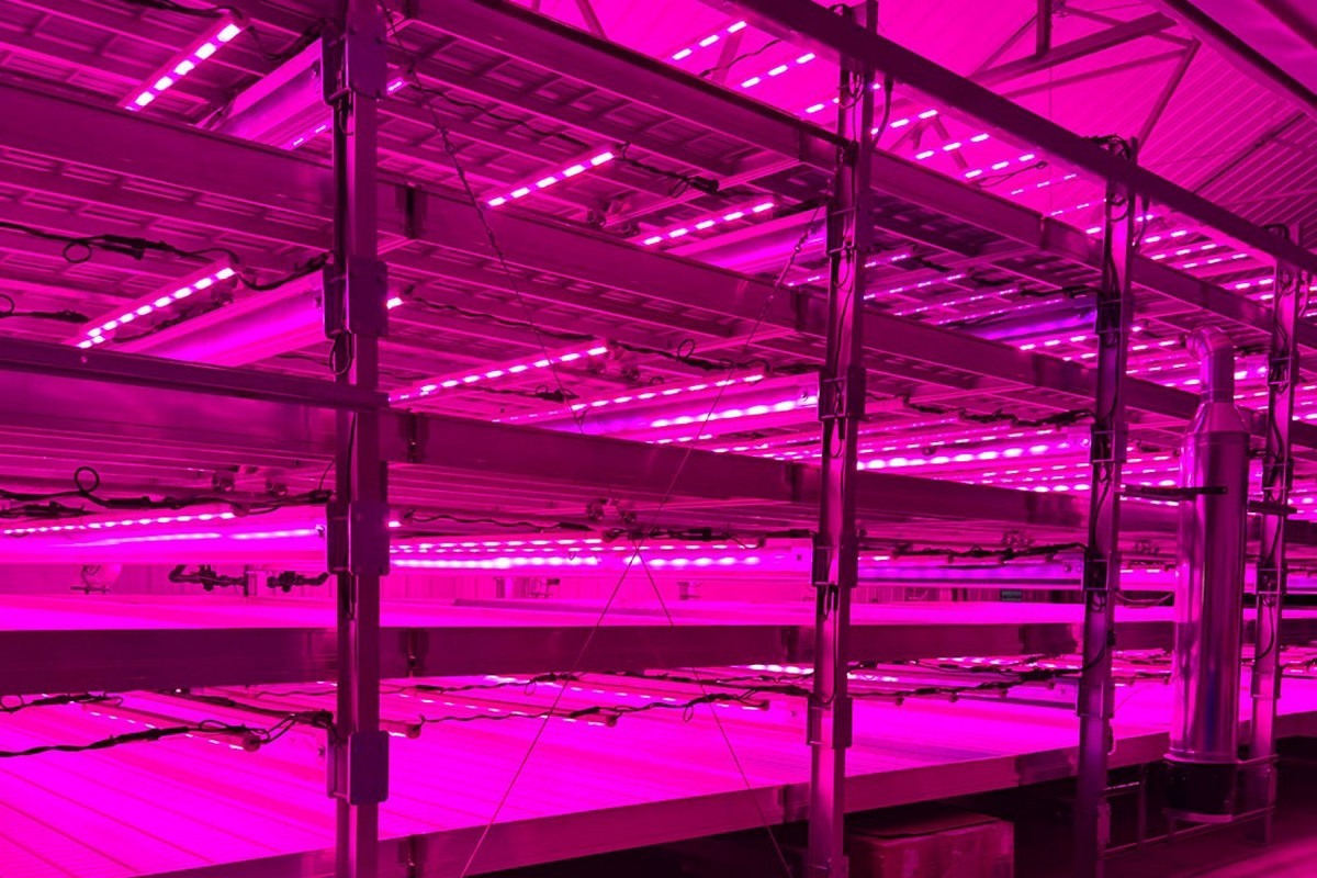 New partnership to bring Moving Gutter Systems to the US