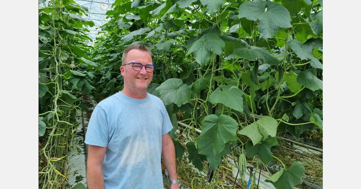 “Warned before plant stress occurs”