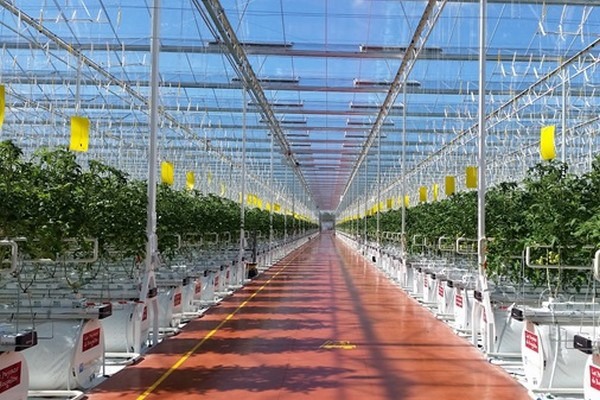 Greenhouse expansion projects