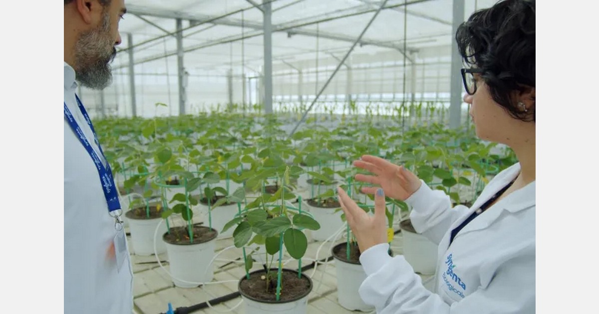 US: Syngenta acquires Novartis repository of natural compounds and ...