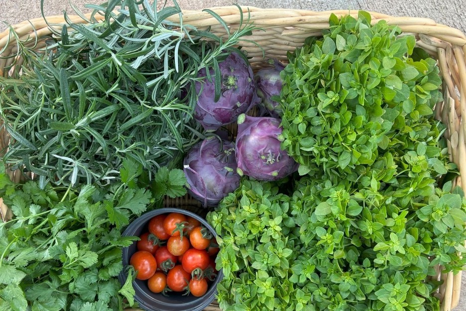 Grower in the Spotlight