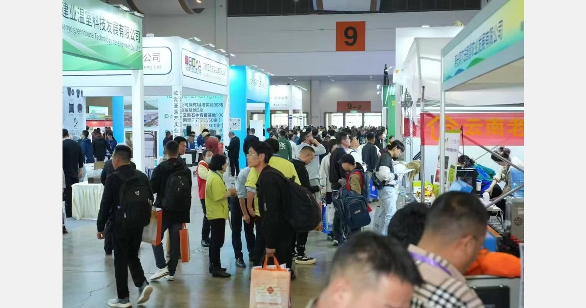 Chinese blueberry industry continues to expand