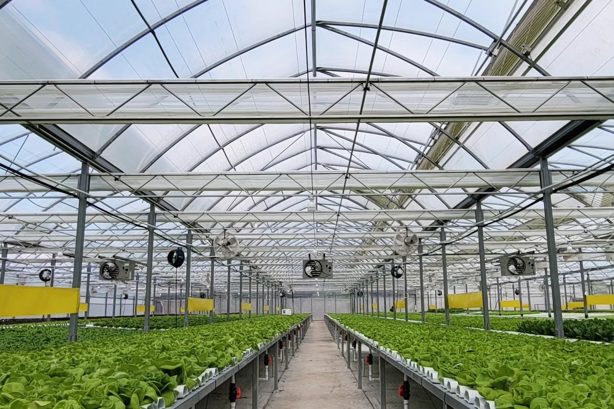 “While the initial investment may be considerable, the benefits of ...