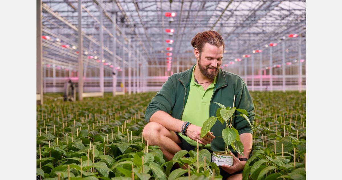 Steering crops with full flexibility for each variety and growth stage