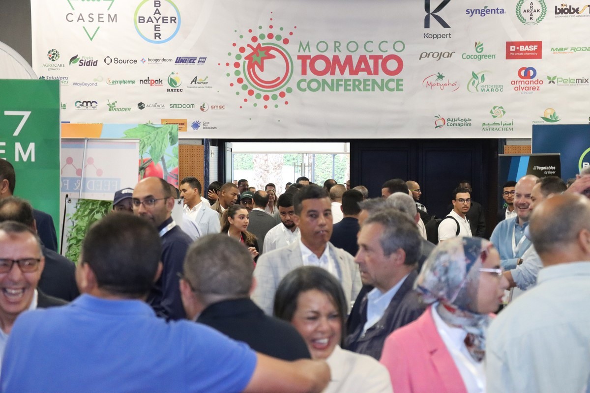 Morocco’s tomato industry at a crossroads