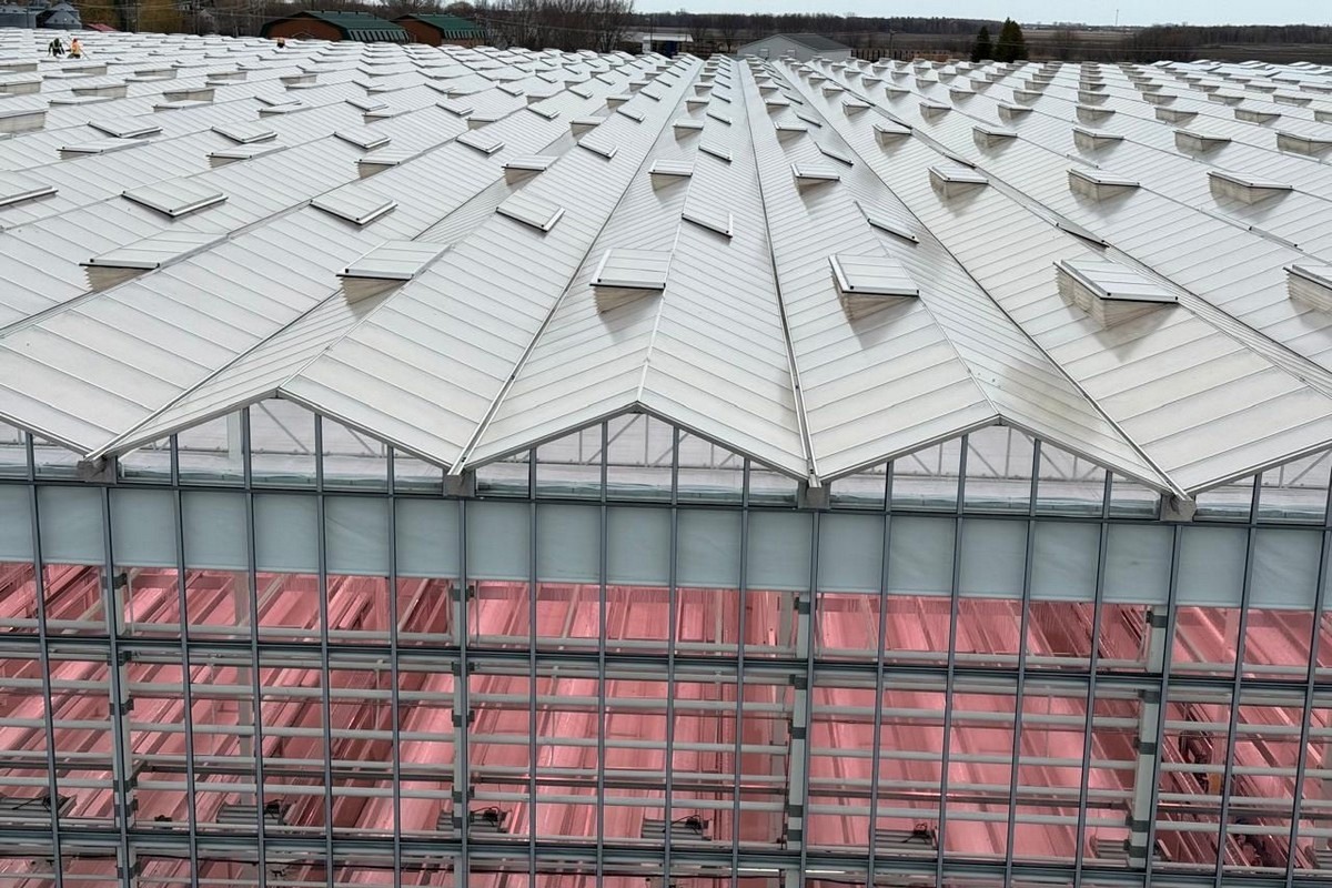 CAN: VegPro International opens new 5.2 hectare greenhouse
