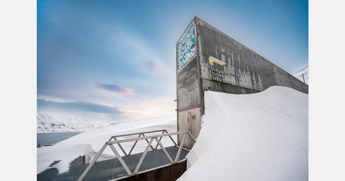 Warwick University deposits seeds into Arctic "Doomsday Vault"