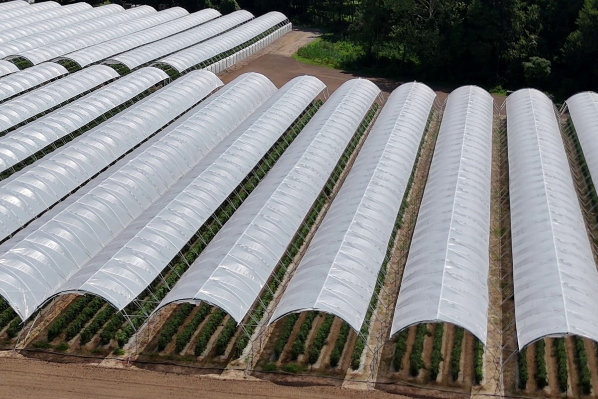 Climate control, energy costs, safety, and solutions