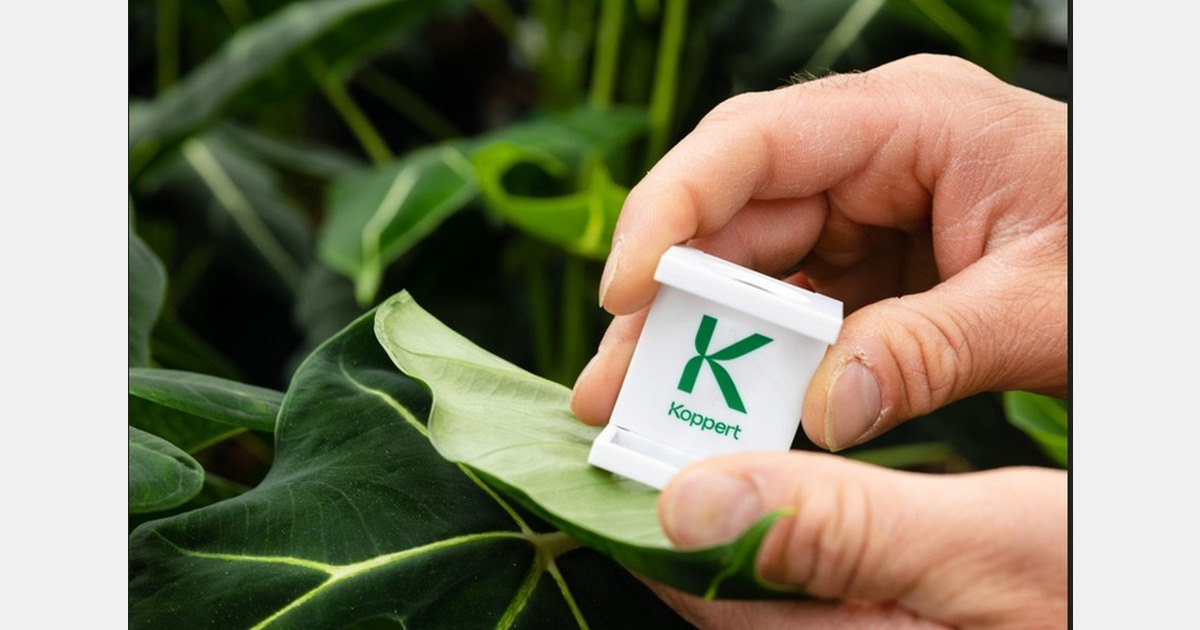 Breaking down the reasons for pathogen resistance in crops