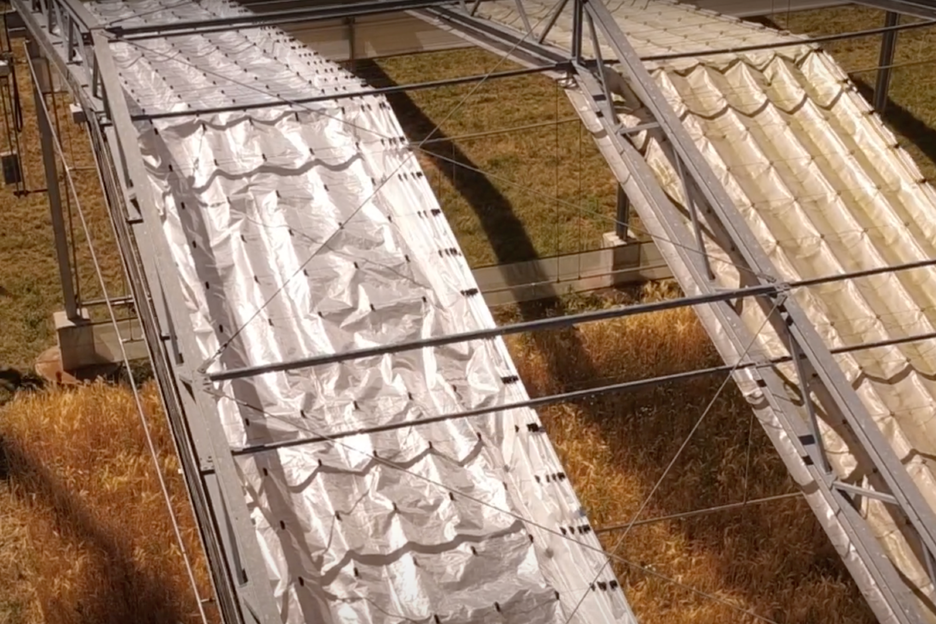 Greenhouse expansion projects