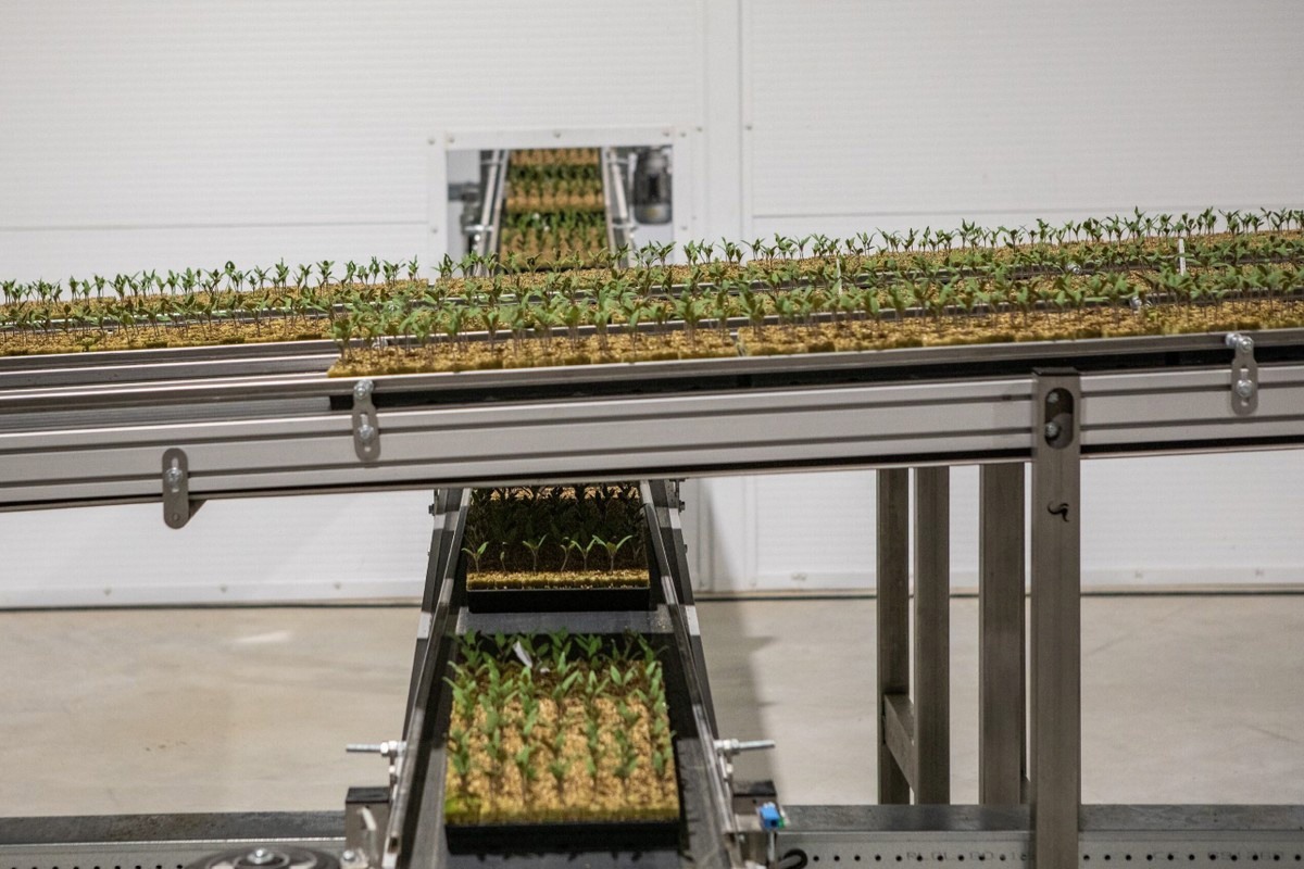 “We often connect growers across countries to share experiences and ...