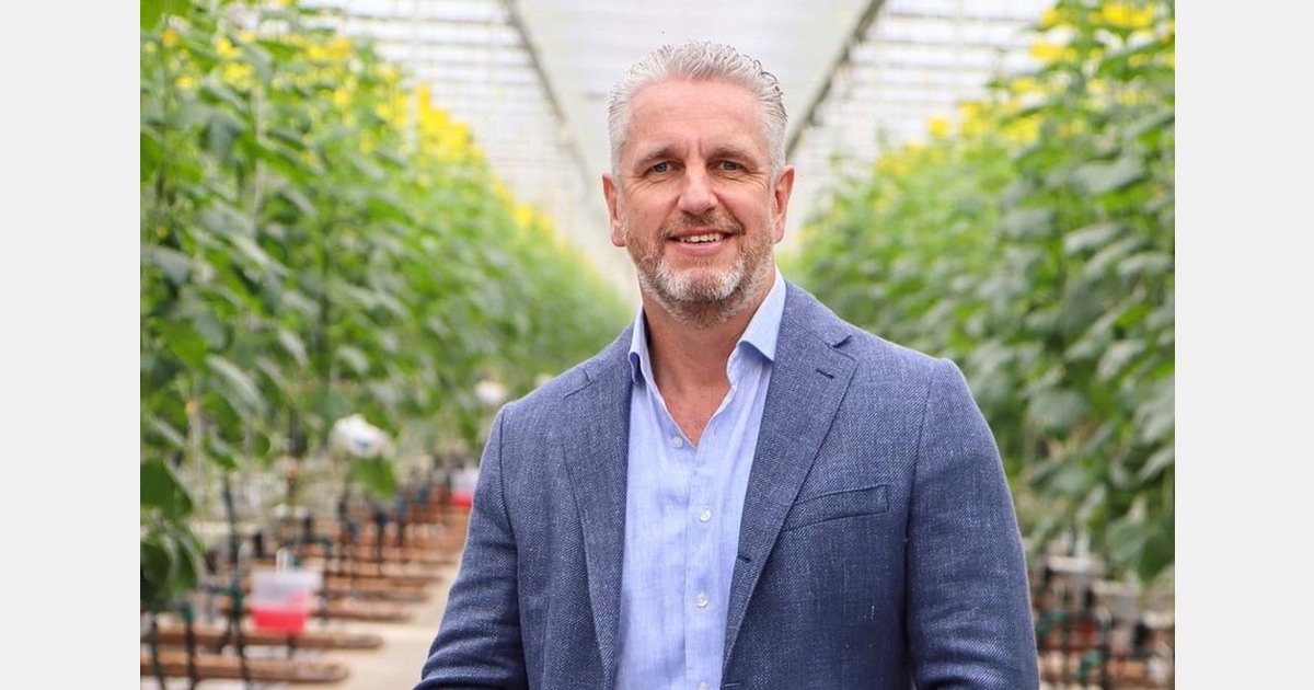 Royal Pride to add mini and midi cucumbers to selection